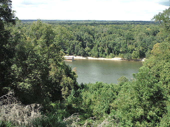 Torreya State Park: Where Florida decided to throw in some mountains just to keep everyone on their toes. Nature's ultimate plot twist!