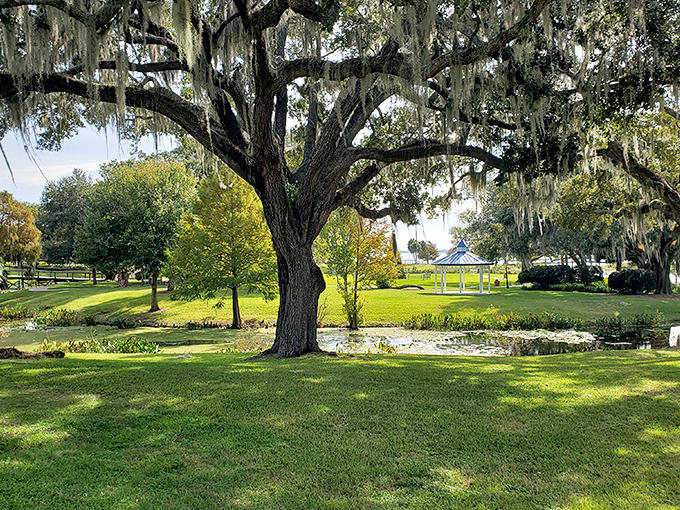 Majestic oaks draped in Spanish moss create nature's perfect canopy over Venetian Gardens' emerald lawns &ndash; Florida's version of a royal welcome.
