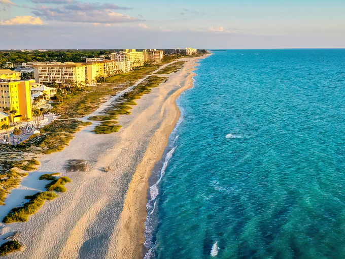 Venice's pristine shoreline stretches for miles, where turquoise waters meet powdery white sand—nature's perfect treasure hunting ground.