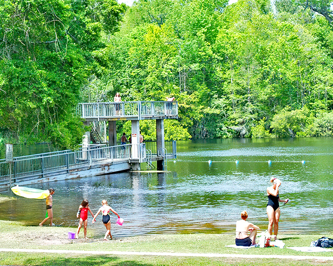 Nature's swimming pool beckons at Wakulla Springs, where crystal-clear waters and diving platforms create summer memories that last generations.