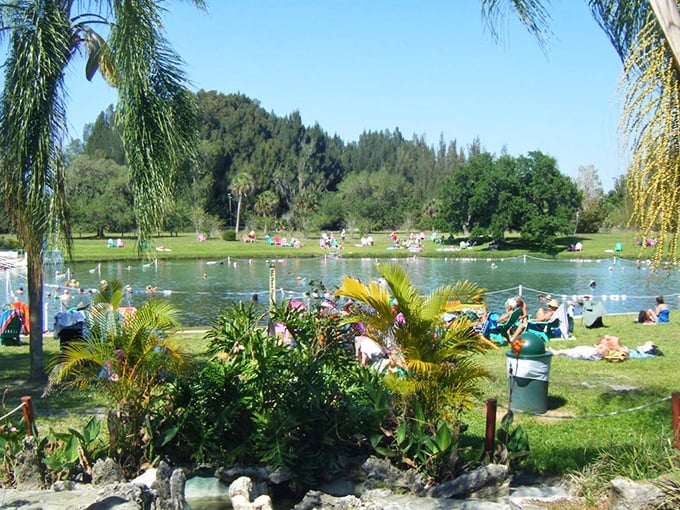 Nature's own jacuzzi beckons with its mineral-rich waters, promising relaxation under Florida's endless blue skies.