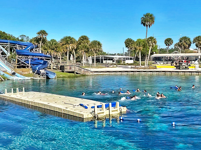 Weeki Wachee's crystal-clear spring water creates a natural swimming paradise where the Florida sun dances on every ripple.