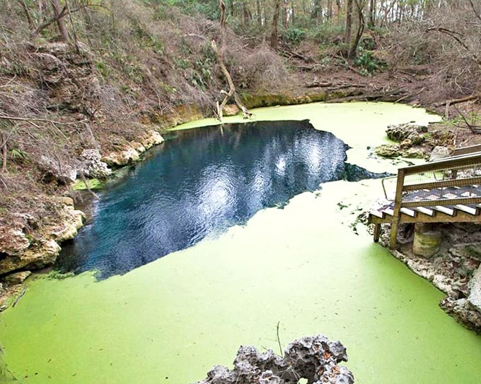 Nature's portal beckons at Wes Skiles Peacock Springs, where emerald waters hide an underwater labyrinth waiting for the adventurous soul.