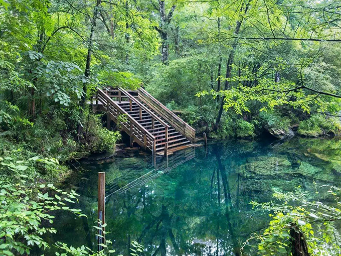 A wooden staircase descends into impossibly blue waters, like nature's own invitation to dive into a liquid sapphire hidden among emerald trees.