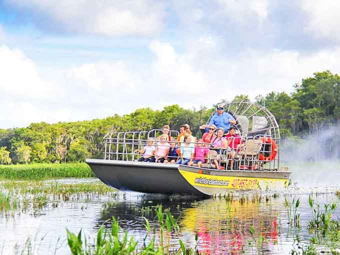 Skimming across Florida's pristine wetlands, this airboat carries adventurers into a world where alligators rule and time seems to stand still.