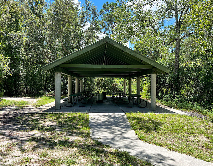 A peaceful pavilion nestled among towering trees offers respite from Florida's sun, perfect for picnics or contemplating the surrounding wilderness.