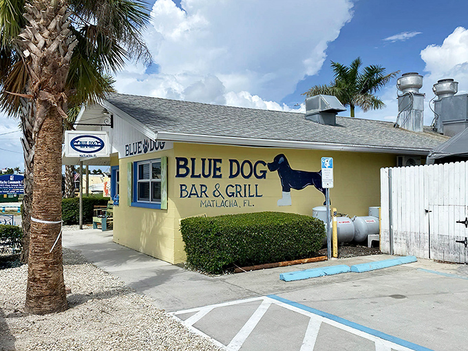 The cheerful yellow exterior of Blue Dog Bar & Grill stands out in Matlacha like a sunny invitation to seafood paradise.