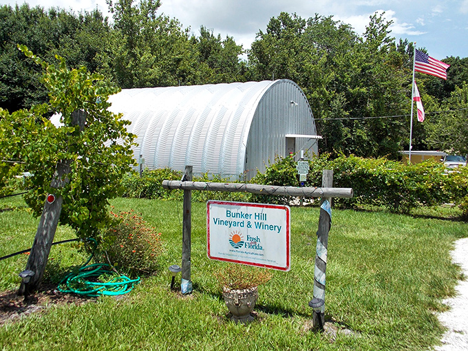 The distinctive curved metal exterior of Bunker Hill Vineyard & Winery stands proudly under Florida skies, promising eco-friendly adventures within.