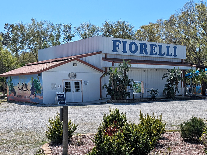 The unassuming white exterior of Fiorelli Winery stands like a beacon of hope for wine lovers in Bradenton, promising grape expectations inside.