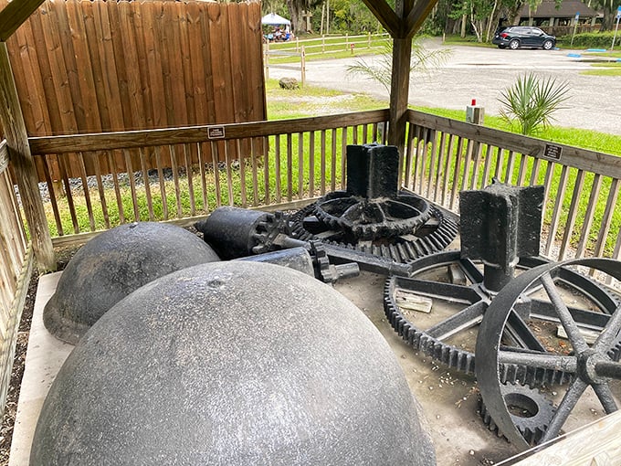Gears of history! These antique sugar mill components tell the sweet story of Florida's agricultural past in iron and stone.