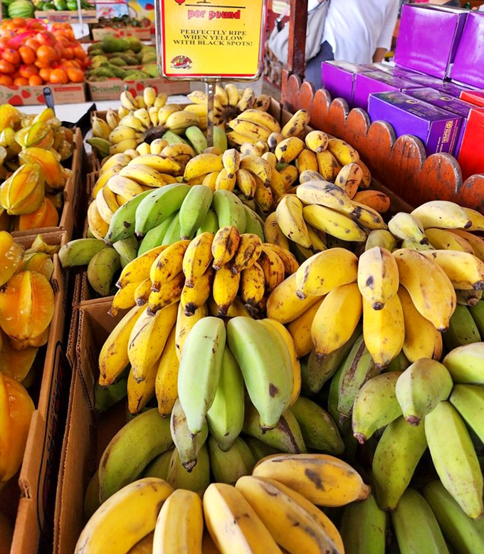 A rainbow of bananas in various stages of ripeness &ndash; from emerald green to freckled yellow &ndash; nature's perfect snack packaging.
