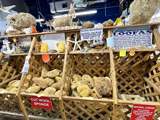 Wooden crates overflow with natural treasures, each variety labeled for the discerning sponge connoisseur.