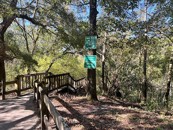 Nature's welcome mat unfolds along wooden pathways, each step bringing you closer to the hidden blue treasure ahead.