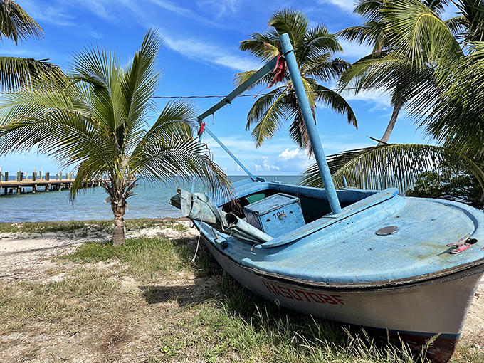 A weathered boat rests in retirement, swapping sea tales with the palm trees that have seen it all.