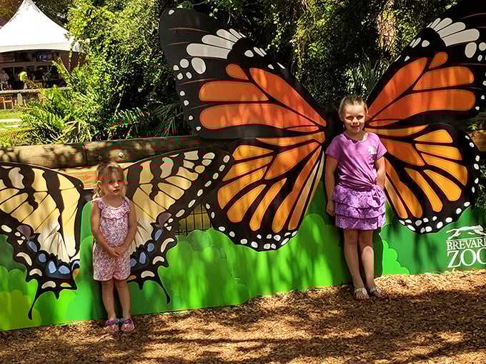 Butterfly dreams: Young visitors spread their wings against colorful butterfly backdrops, capturing the magic of transformation.