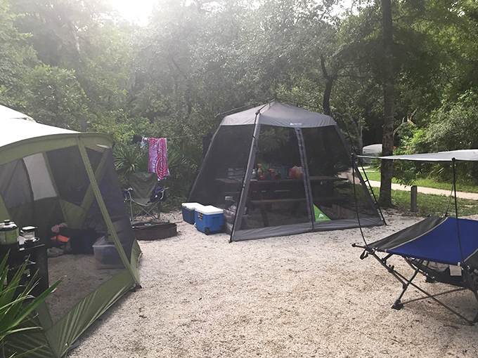 Campsites nestle among the trees, offering that perfect blend of outdoor adventure and modern convenience where you can commune with nature without completely abandoning civilization's creature comforts.