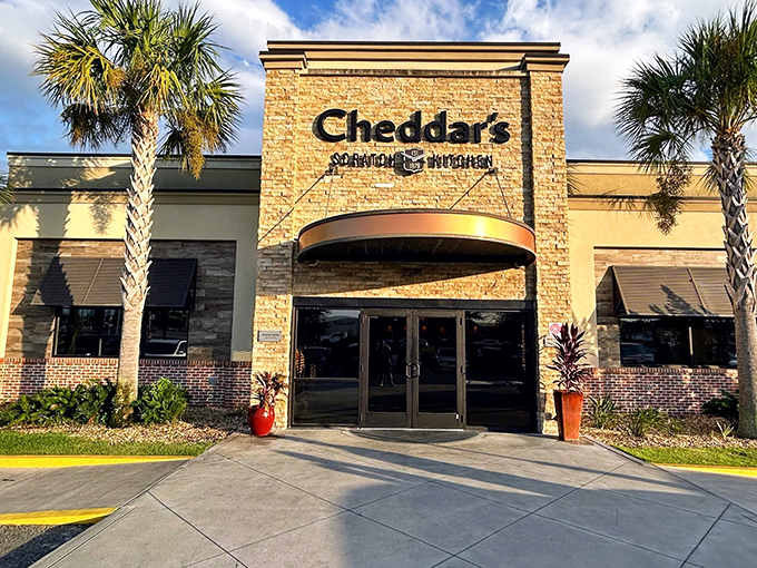 Cheddar's Scratch Kitchen: Comfort food gets the homemade treatment behind these doors, where "from scratch" isn't just marketing&mdash;it's a mission.