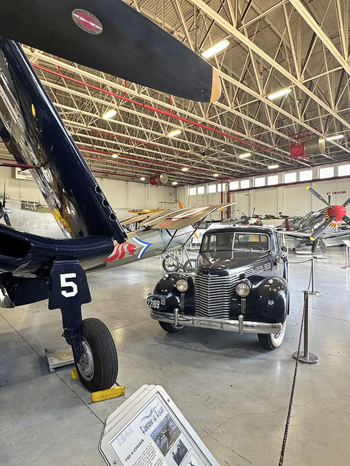 A gleaming 1940s Cadillac shares space with aircraft, reminding visitors that automotive and aviation design often influenced each other during the Art Deco era.