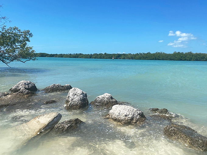Nature's artwork: Coastal rocks create miniature ecosystems where each tide pool becomes a fascinating natural aquarium for curious explorers.