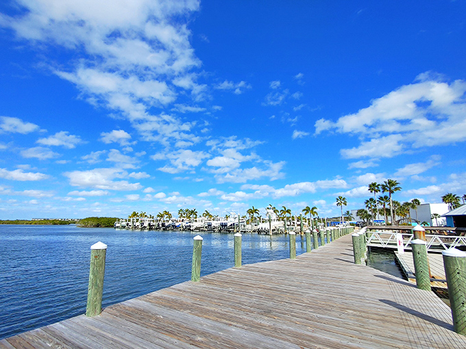The peaceful dock extends into the Intracoastal Waterway, offering a perfect spot for contemplation after your lighthouse adventure.