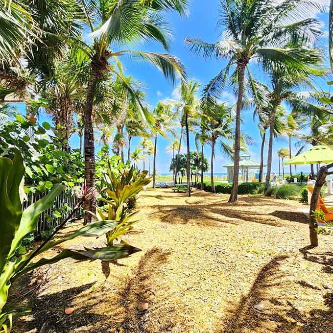 Swaying palms frame this view like nature's own picture frame, making you wonder why anyone would hang generic beach art when this exists.