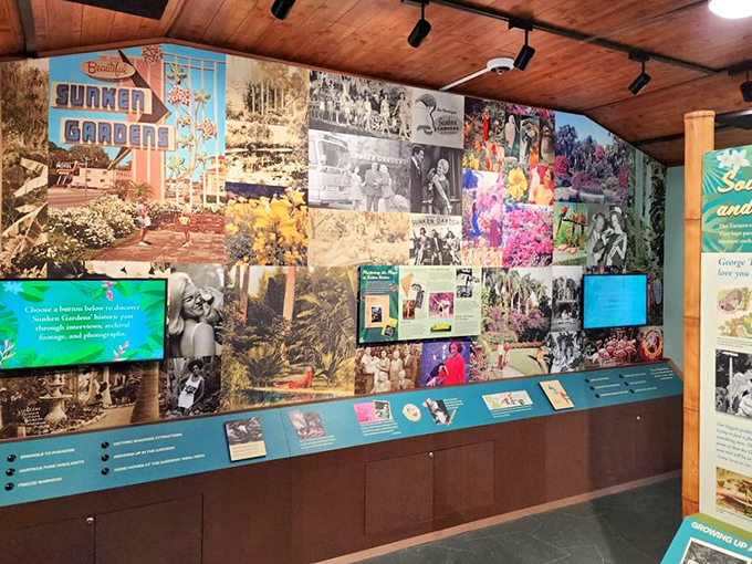This historical display wall doesn't just show old photos &ndash; it's a time machine connecting today's visitors with generations of garden explorers.
