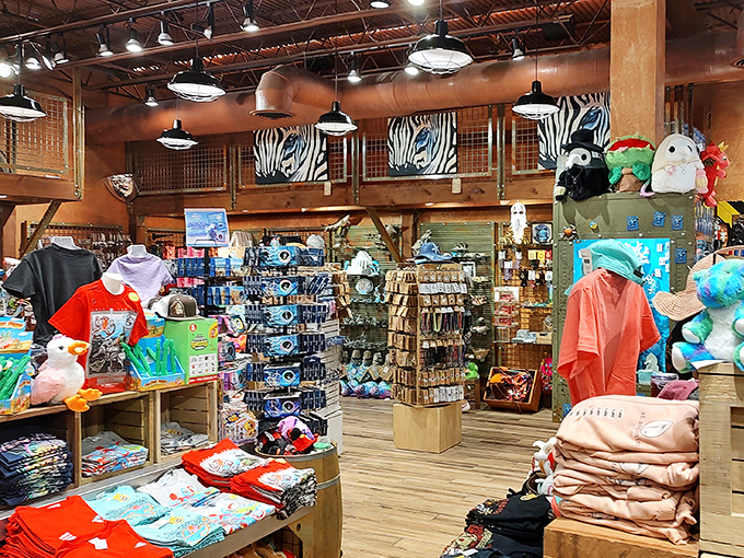 The colorful gift shop extends the Ripley's experience, with zebra prints and quirky souvenirs tempting visitors to take home a piece of peculiar.