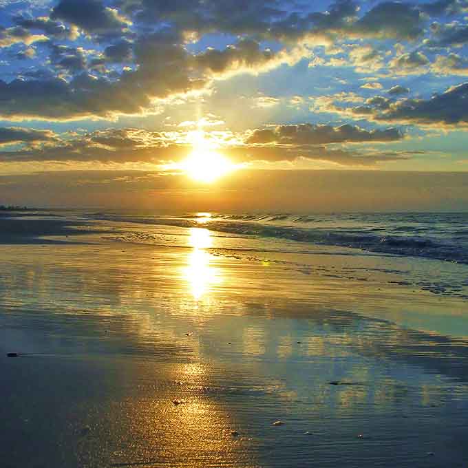 Golden hour transforms ordinary shoreline into liquid gold, a reminder that the best things in life can't be purchased.