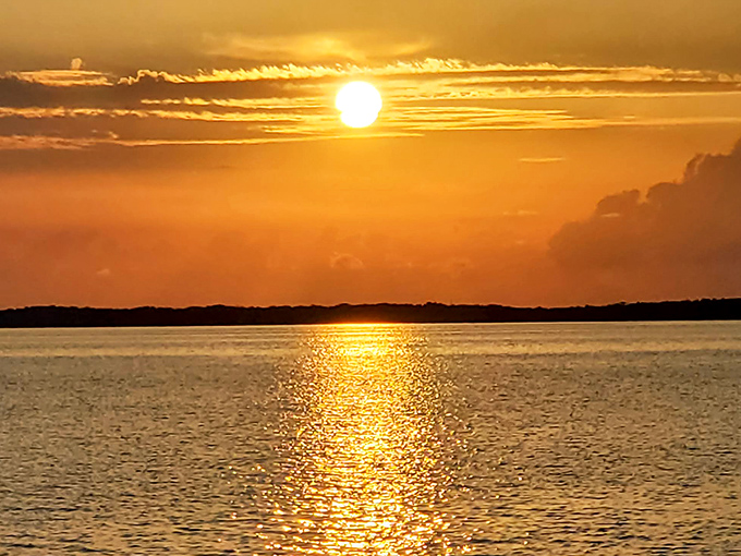 Golden hour transforms ordinary water into a pathway of light, as if nature decided to roll out the red carpet for evening.