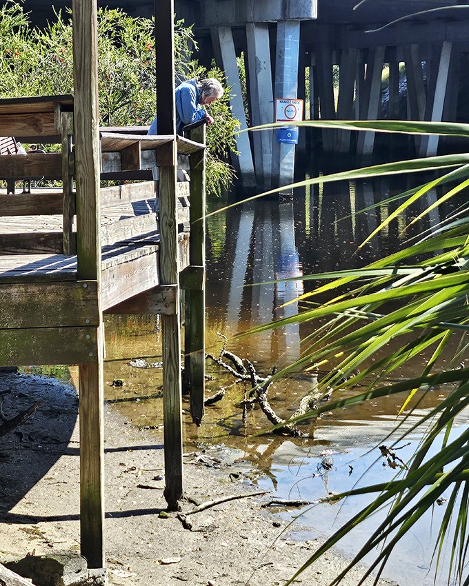 Hillsborough River Dock: Weathered wooden planks stretch into reflective waters, offering contemplative moments and perhaps the best selfie spot with Tampa's concrete castle.