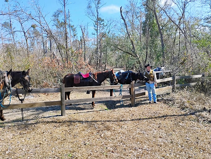 Horseback Riding: Four-legged explorers and their human companions take a break along trails that wind through Madison County's pristine wilderness.