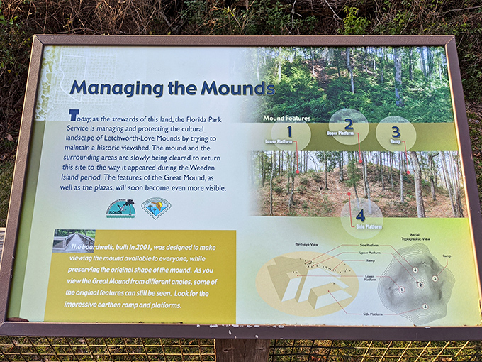 Information board about Managing the Mound: Modern stewards work to reveal the mound's secrets while preserving its dignity&mdash;archaeology meets conservation in perfect harmony.