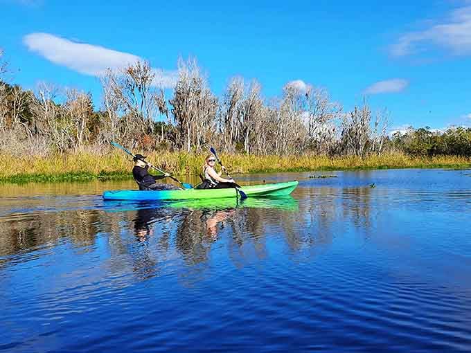 Kayaking here means joining the lake's daily routine, where you're the interesting newcomer and the wildlife are the locals showing you around their neighborhood.