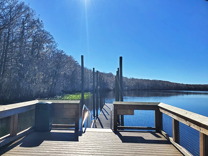 The swimming platform beckons on a perfect Florida day, where 72-degree spring water promises refreshment year-round.