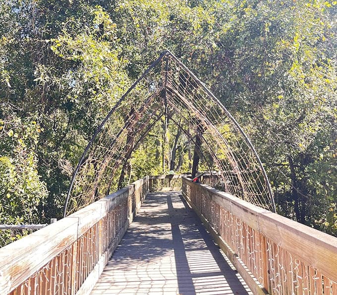 Wooden boardwalks protect delicate ecosystems while providing adventure, their gentle curves and elevation changes transforming simple walking into exploration and discovery.