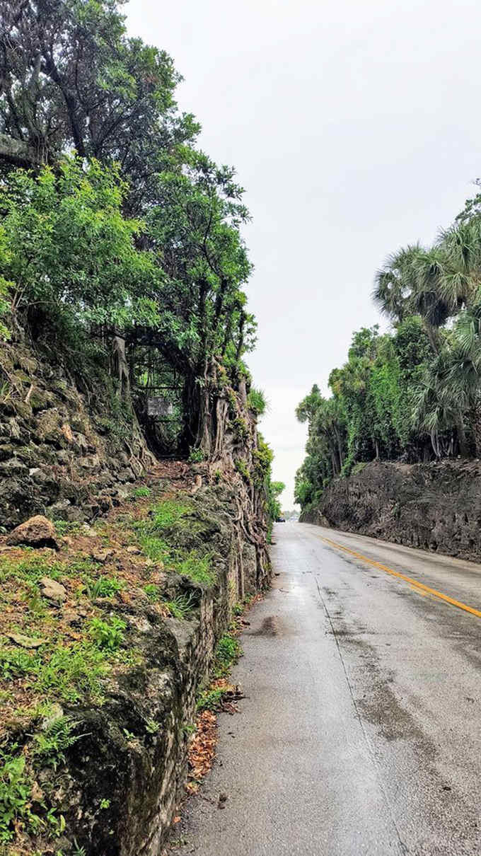 The narrow roadway demands careful navigation, a small price to pay for experiencing this remarkable fusion of nature and engineering.