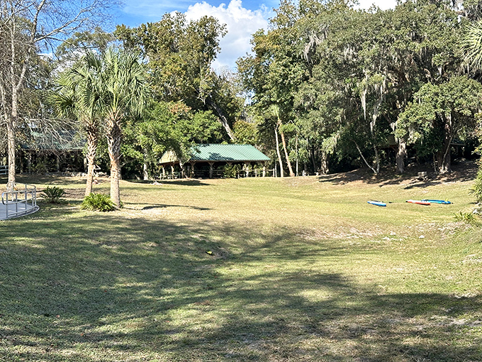 The perfect picnic spot &ndash; where ants are actually invited and nobody minds sharing lunch with a squirrel or two.