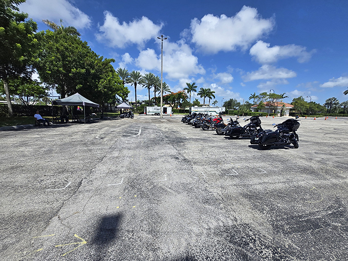 Parking: Beyond the asphalt lies adventure&mdash;proof that extraordinary experiences sometimes hide behind ordinary beginnings.