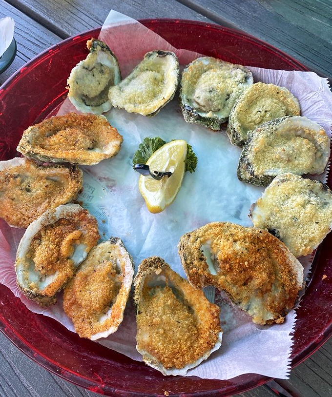 Ocean's bounty: Parmesan-crusted oysters arranged in a perfect circle &ndash; briny treasures from the sea transformed into golden, savory bites.