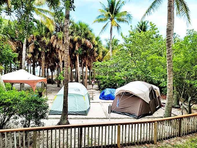 Camping with a tropical twist &ndash; where your backyard is turquoise water and your ceiling is star-studded Florida skies.