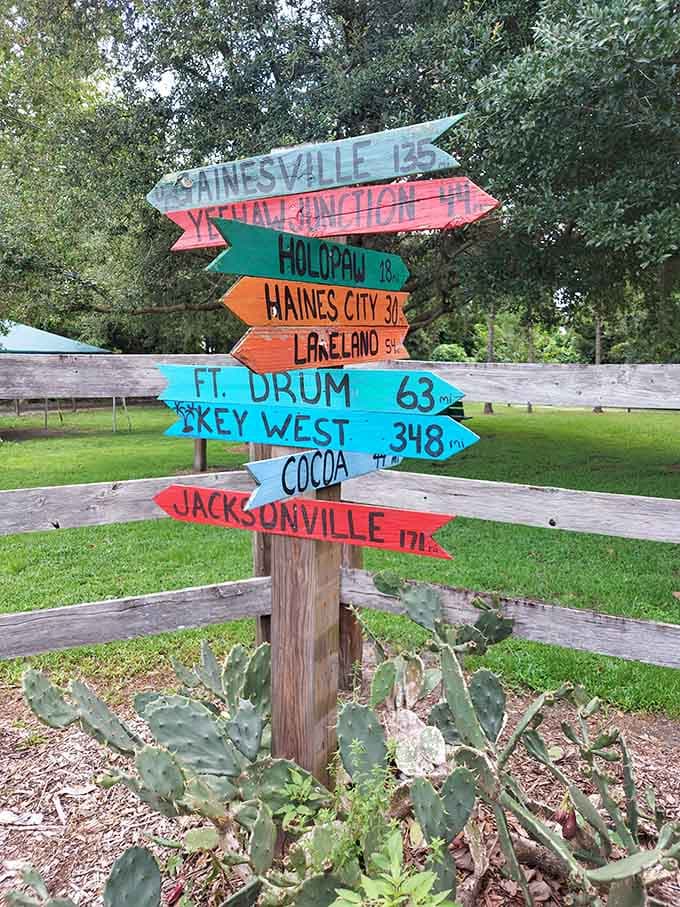 This whimsical directional sign points to distant Florida destinations, reminding you that adventure is everywhere, including right where you're standing.