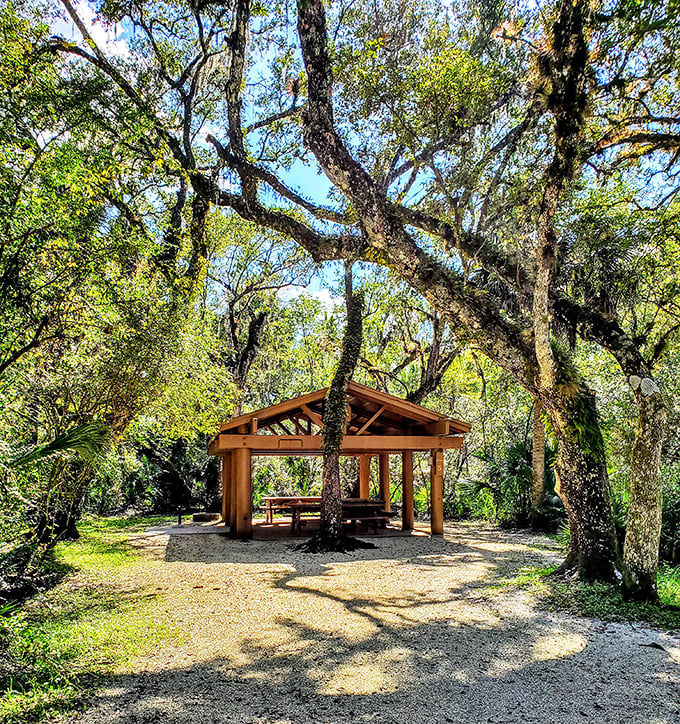 Lunch with a view – this picnic pavilion offers shelter from the sun while you refuel for more nature exploration.