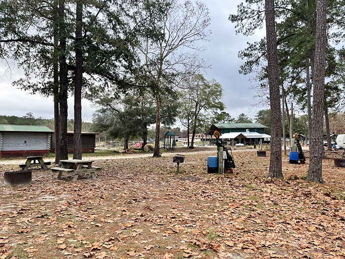 Pine-shaded picnic areas provide the perfect respite from Florida's enthusiastic sunshine, with tables that have supported everything from elaborate feasts to soggy sandwiches.