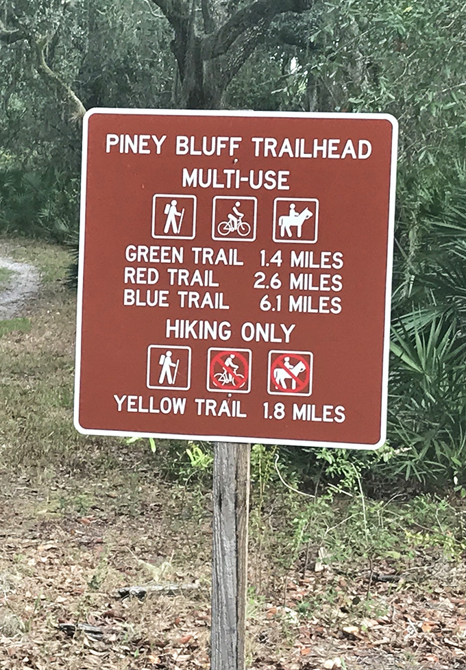 Choose your own adventure at Piney Bluff Trailhead &ndash; from "pleasant stroll" to "I regret everything" levels of hiking.