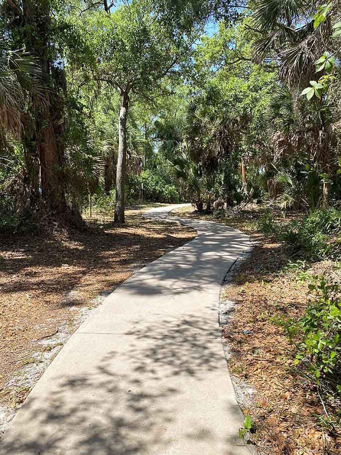 Paved paths wind through the forest, making natural beauty accessible to everyone regardless of mobility or hiking experience.