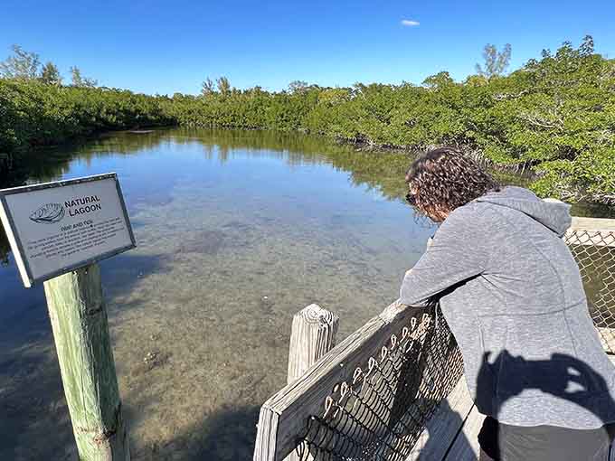 Sometimes the best way to experience nature is to just sit quietly and let it do its thing around you.