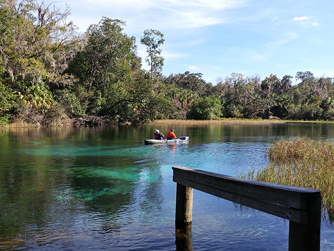 Rainbow Springs' otherworldly turquoise waters make you question whether you've stumbled into a Caribbean postcard by mistake.