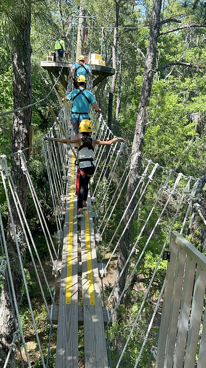 Walking the line between courage and caution, adventurers navigate suspended pathways through the forest canopy.