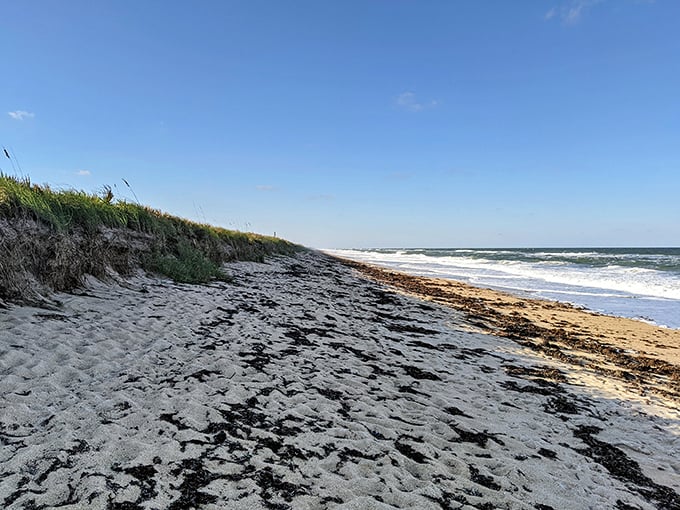 The beach reveals its textured personality after high tide, creating a canvas of ripples that changes with each ocean breath.