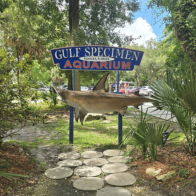 This cheerful signage welcomes you to Panacea's best-kept secret, where education and conservation meet hands-on discovery.